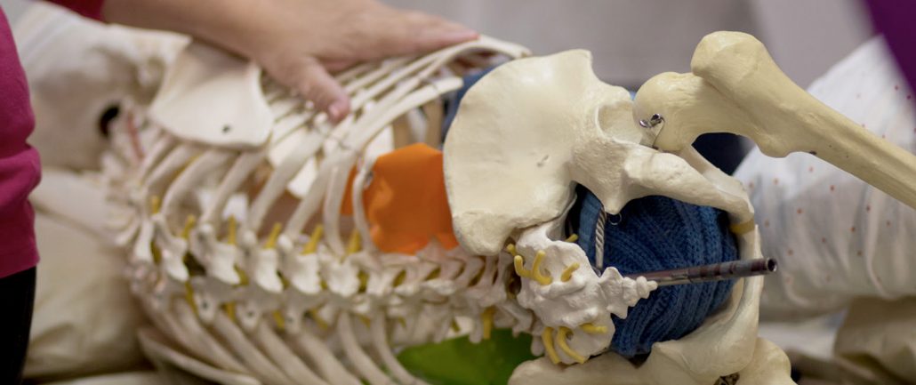 Body Therapy Education – Carole Osborne
